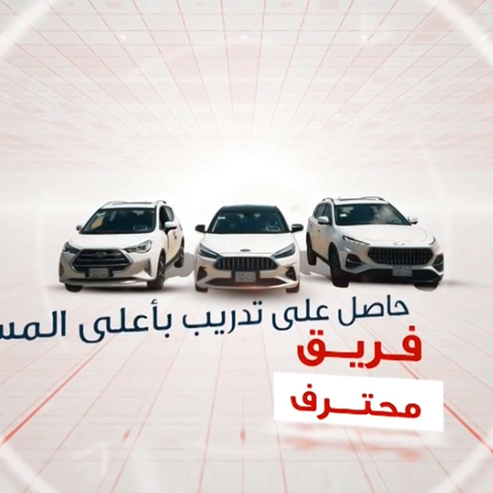 Alissa Auto - The Merakies